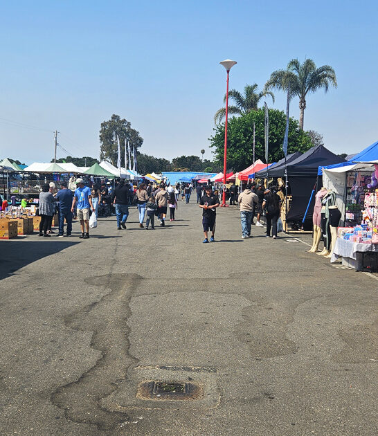 bargain swap meet california ftr