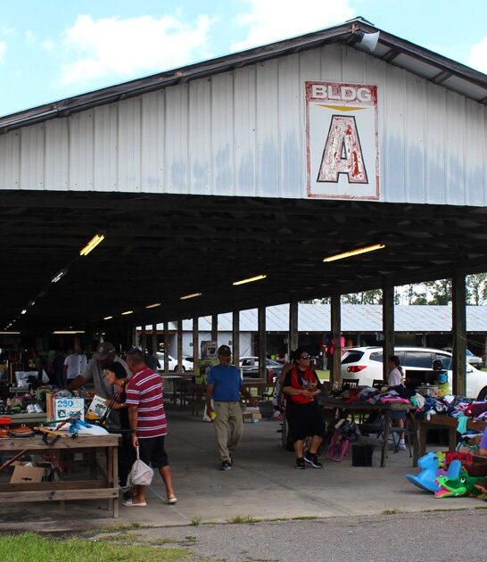 bargains backseat florida market ftr