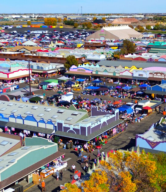 bargains backseat markets colorado ftr