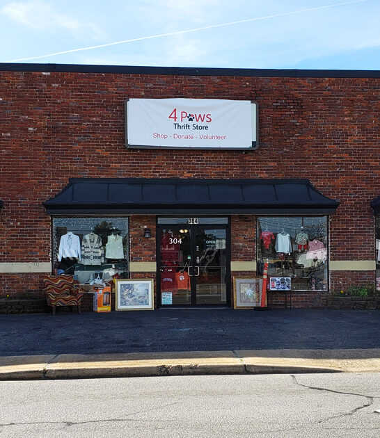 bargains underrated south carolina ftr