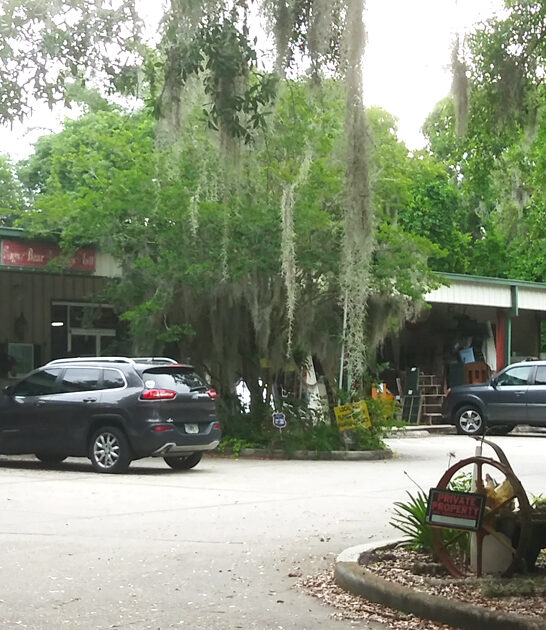 bargains vintage florida store ftr