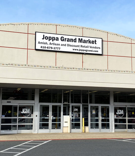 bazaar maryland bags deals ftr