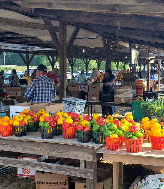 bazaar south carolina bargains ftr