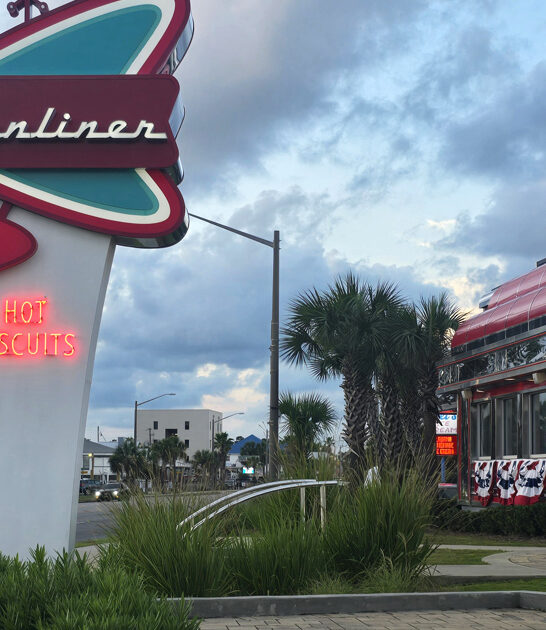 best fried pickles alabama ftr