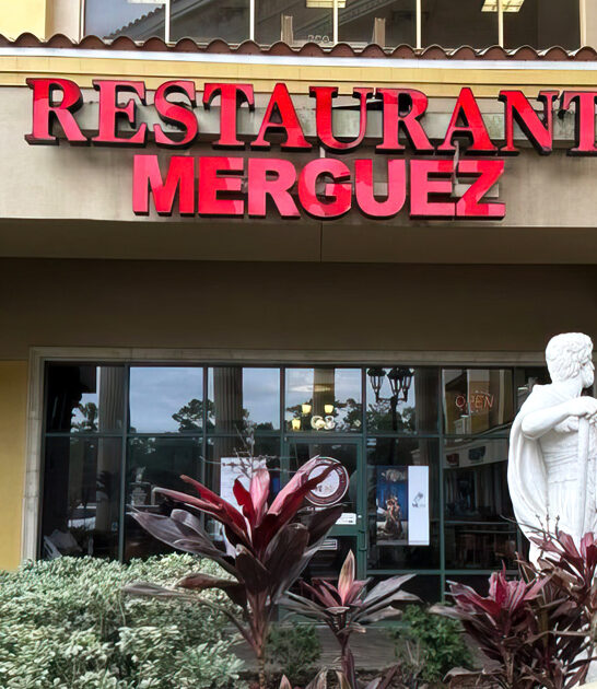 best lamb tagine florida ftr