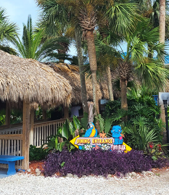 best shrimp florida joint FTR