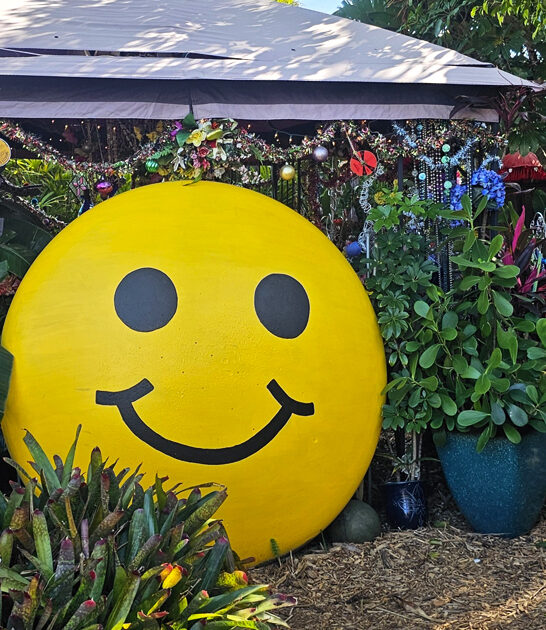 bizarre beautiful garden florida ftr