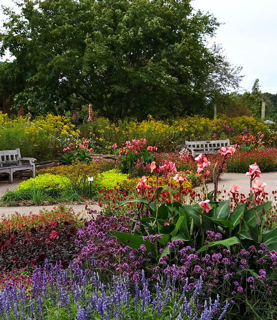 botanical garden michigan fairytale FTR