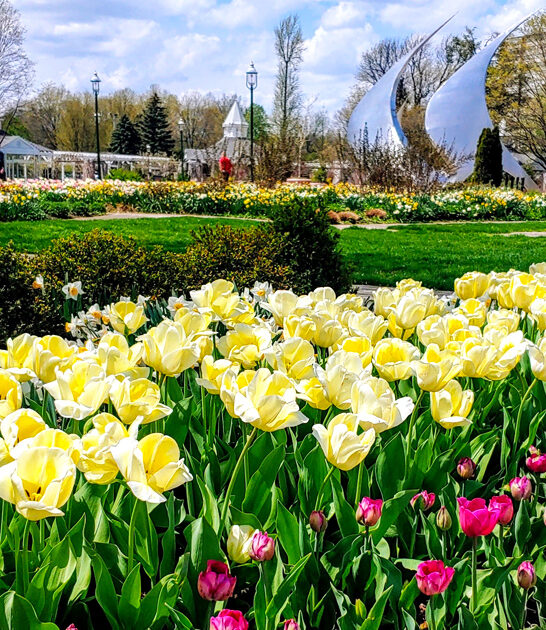 breathtaking botanical garden ohio ftr