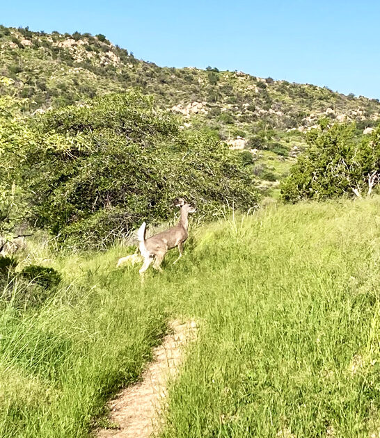 breathtaking park arizona trip FTR
