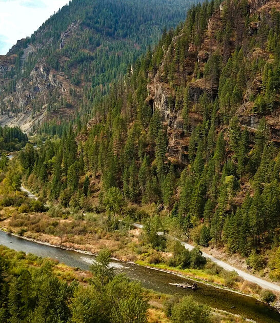 breathtaking river montana postcard ftr