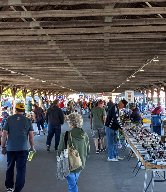 browsing enormous ohio market ftr