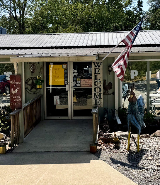 budget eats arkansas diners ftr
