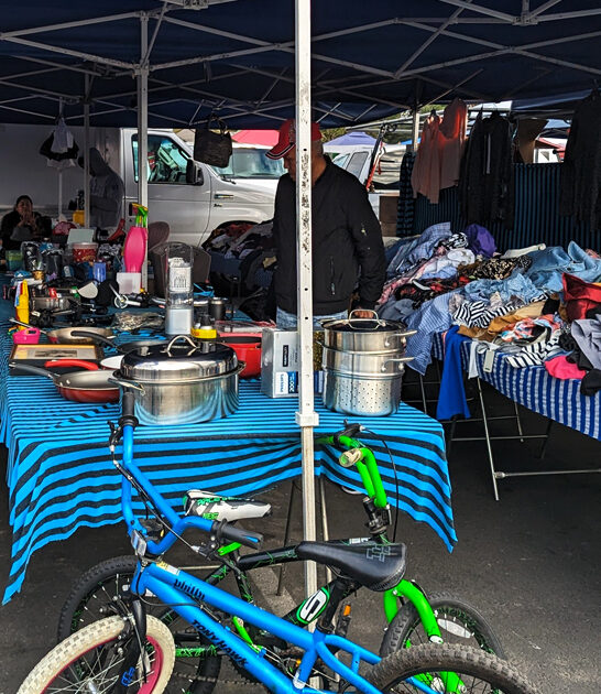 budget shopping market california ftr
