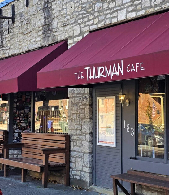 cafe ohio loaded fries ftr