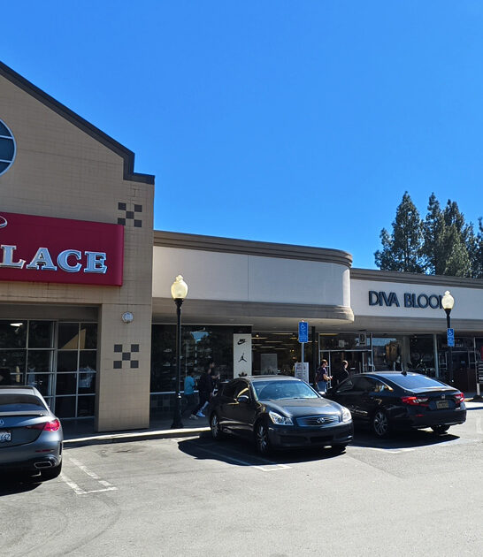 california bargain outlet malls ftr