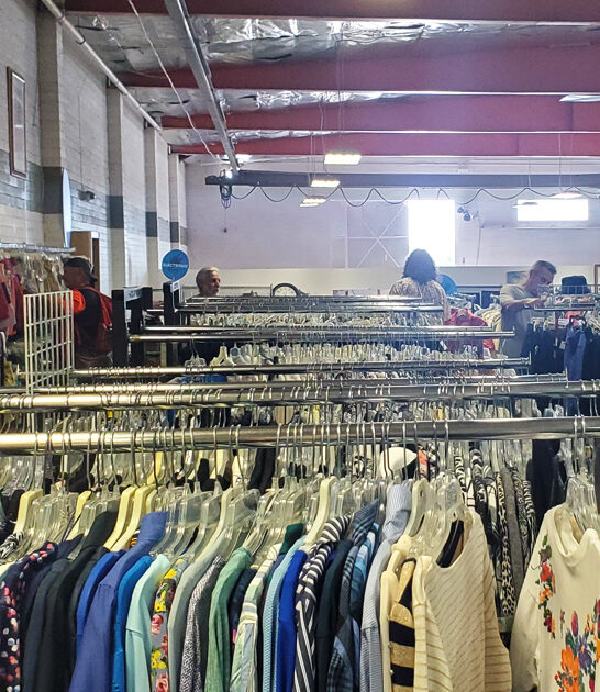 california bargains backseat thrift ftr