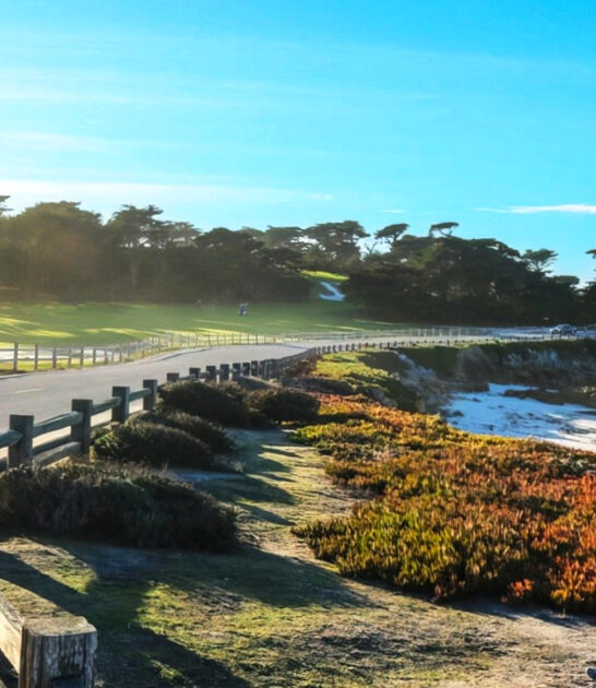 california beautiful road trip ftr