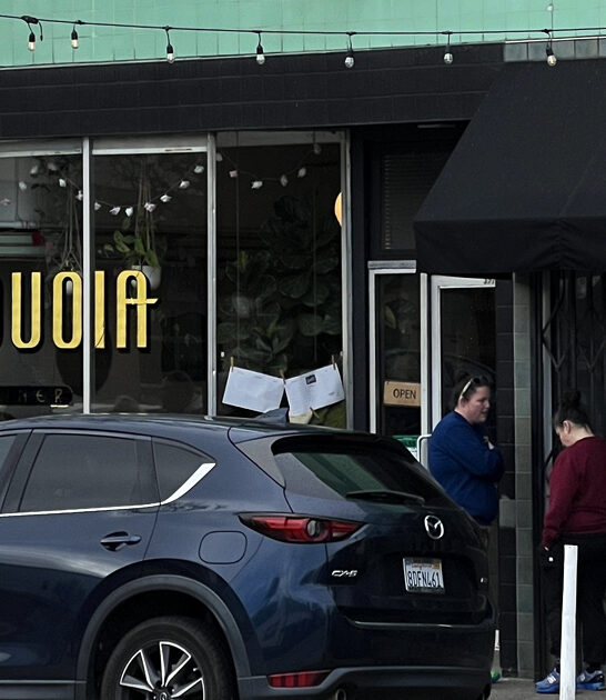 california beef hash diner ftr