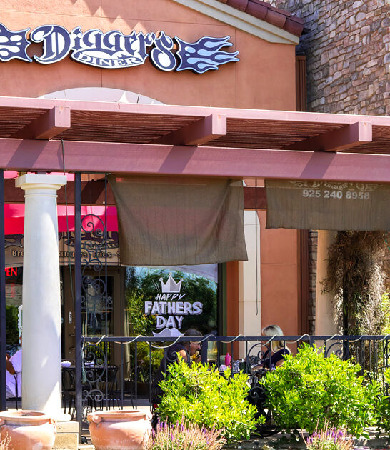 california diner fries favorite ftr