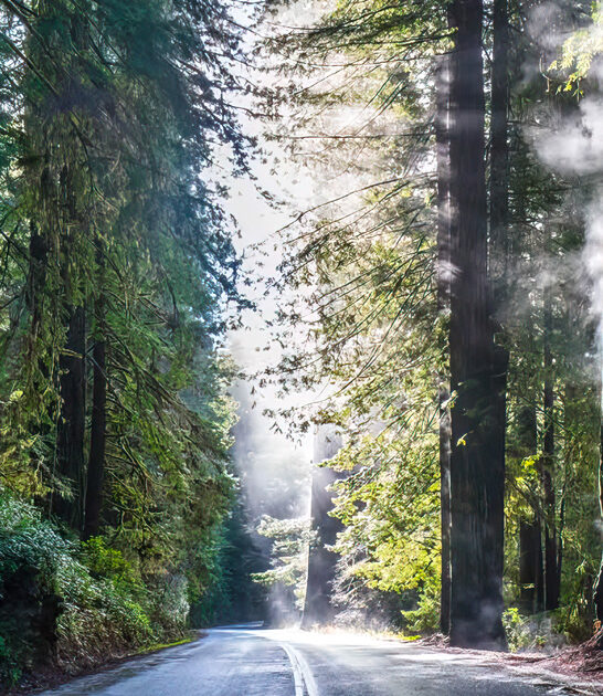 california dreamy weekend drive ftr