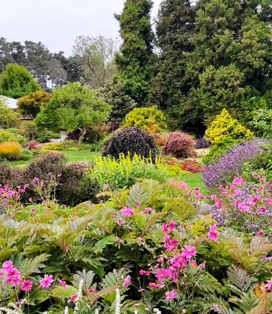 california enchanting wonderful garden ftr