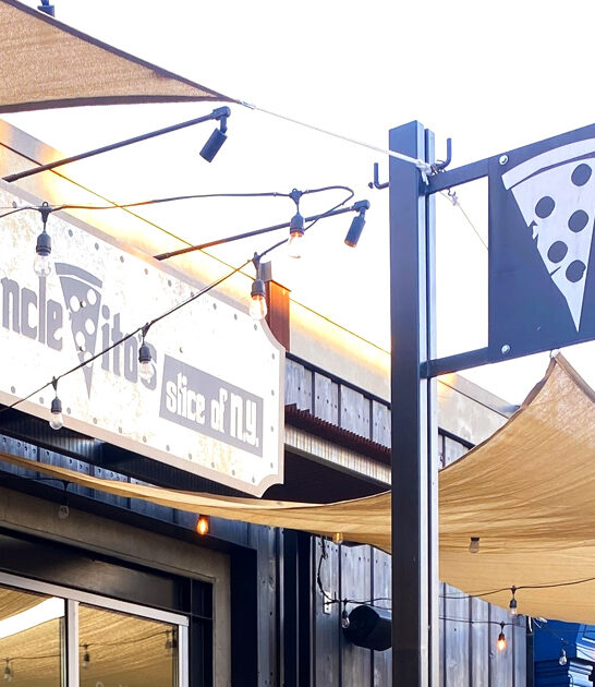 california garlic fries pizzeria ftr