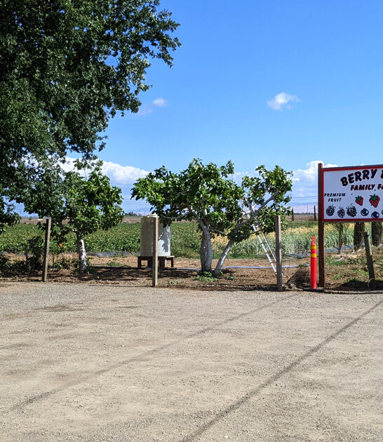 california hidden strawberry farm ftr