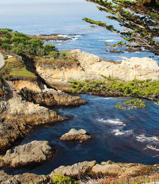california nature state park ftr