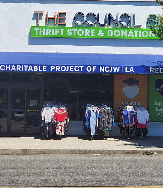 california shop bargain hunting ftr