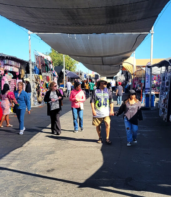 california shopping swap meet ftr