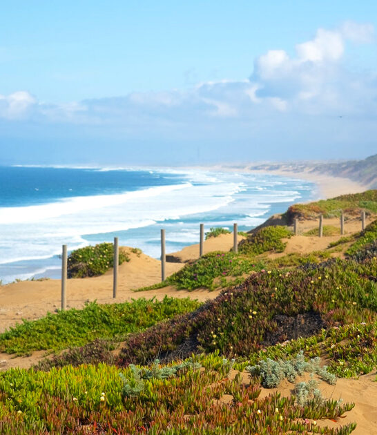 california state park weekend ftr