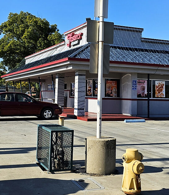 california succulent amazing sundae ftr