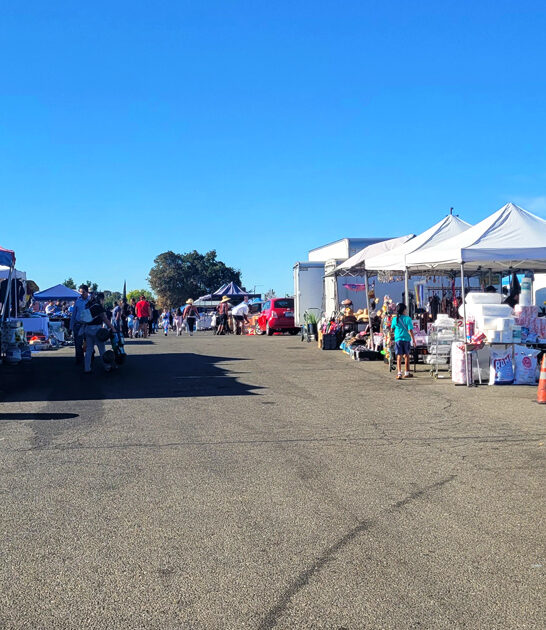 california swap meet prominent ftr