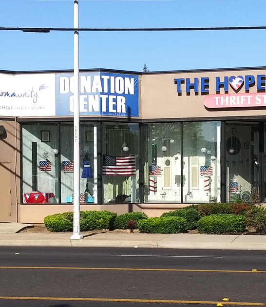 california thrift store collectibles ftr