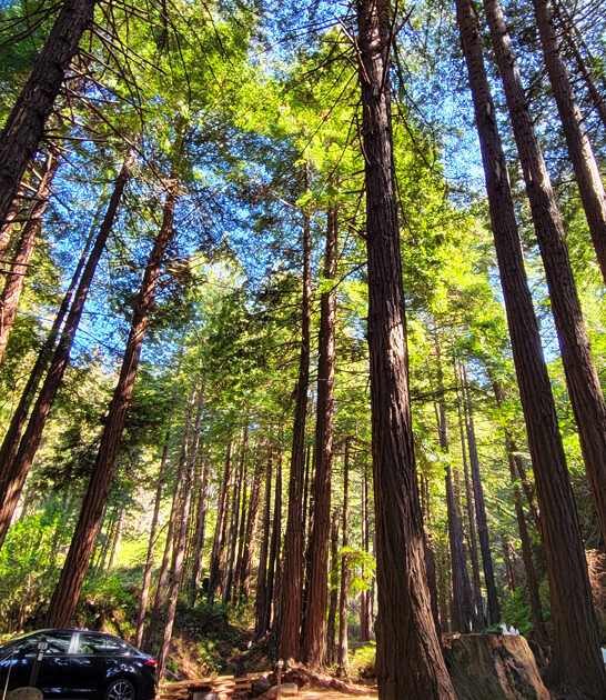 california weekend state park ftr