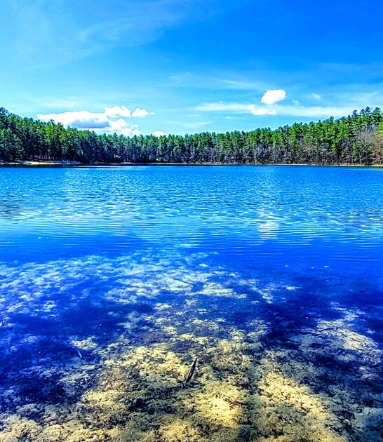 captivating new hampshire park ftr