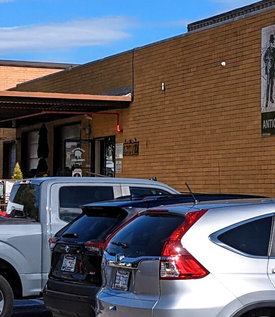 carolina antique store south ftr