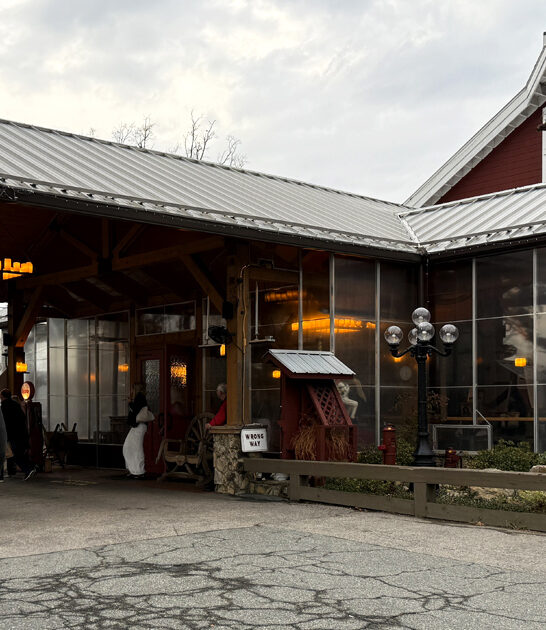 carolina restaurant iconic north ftr