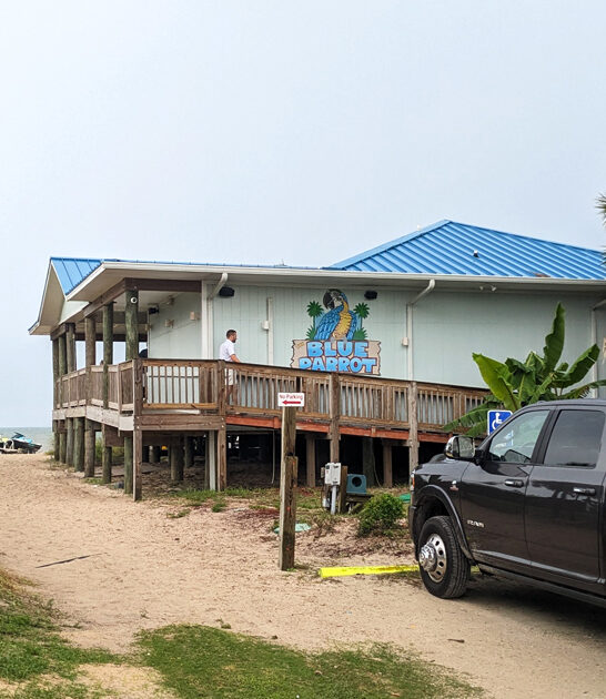 charming joint florida crab FTR