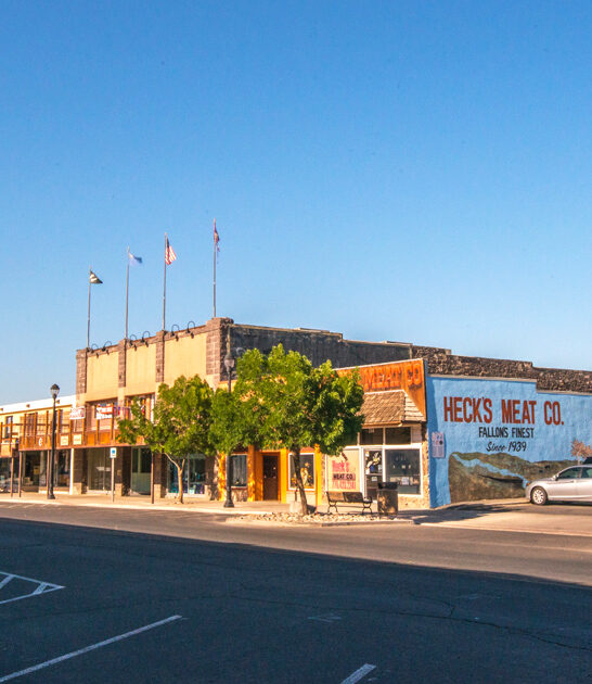 charming nevada affordable town ftr