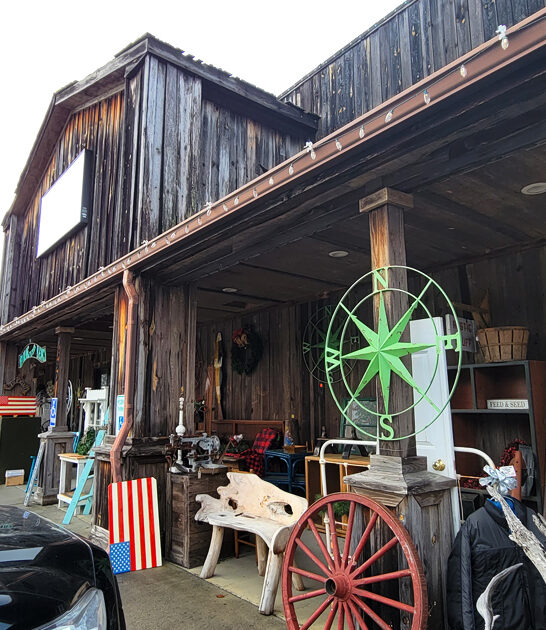 cheapest vintage south carolina ftr