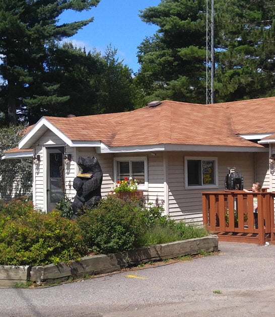 cheese curds great wisconsin ftr