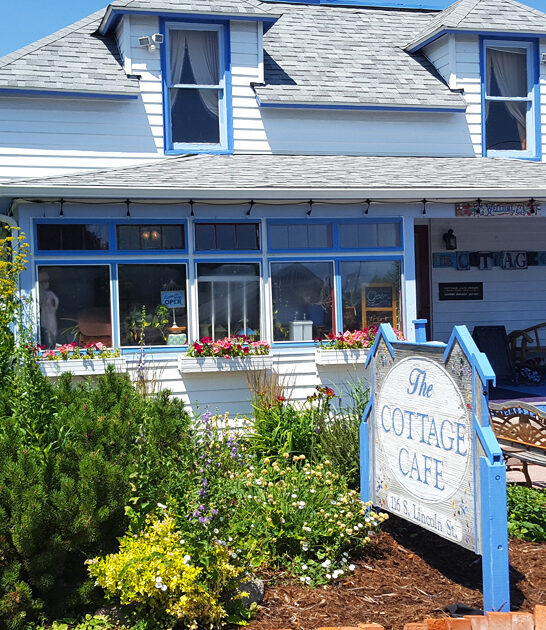 chicken soup wyoming shop ftr