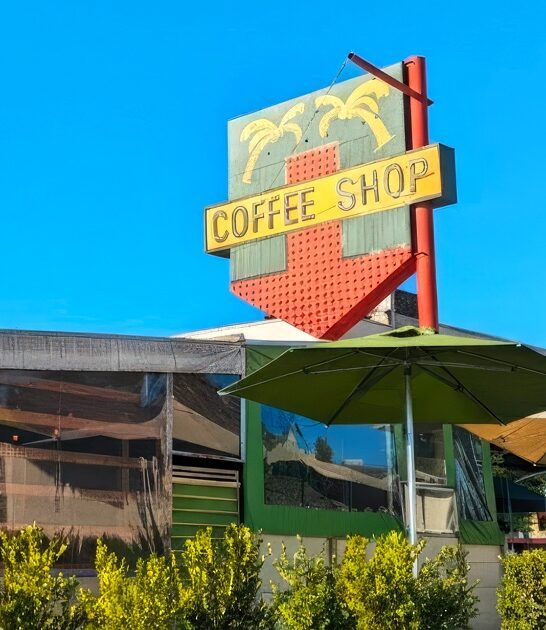 chili verde california omelet ftr