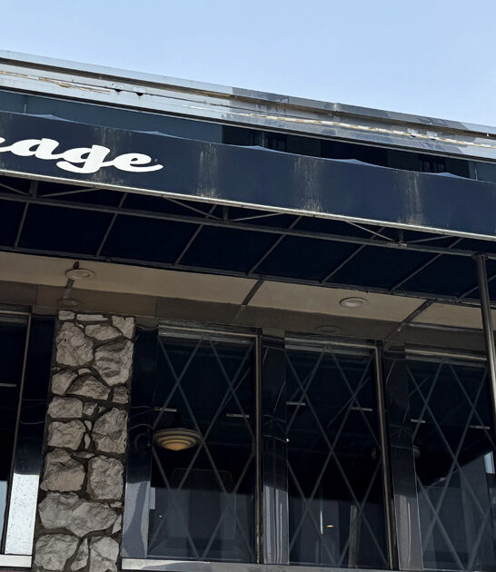 chips delicacy new york ftr