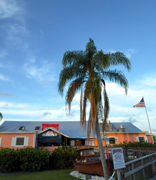 clam chowder humble florida ftr