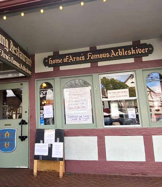 classic danish diner california ftr