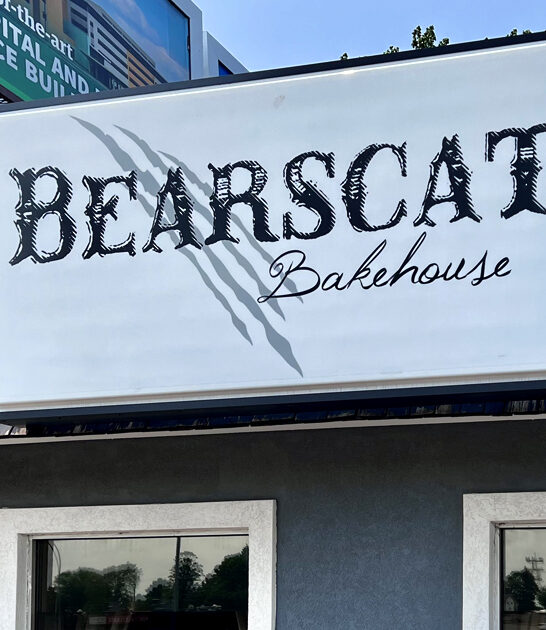 classic north dakota donuts ftr