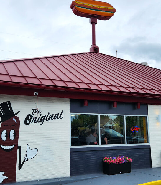 classic ohio cut fries ftr